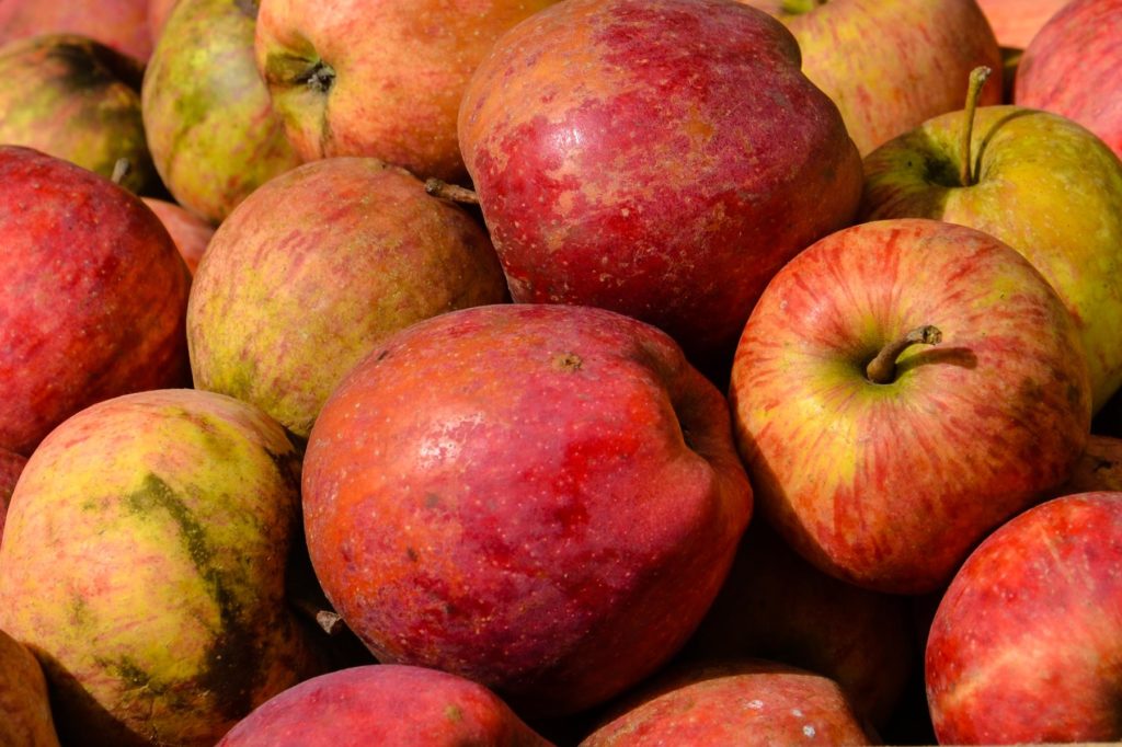 Il Giardino della Frutta | Mele